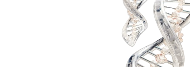 Destiny Architect เสริมโหงวเฮ้ง ปรับโครงหน้าตามโชคชะตา